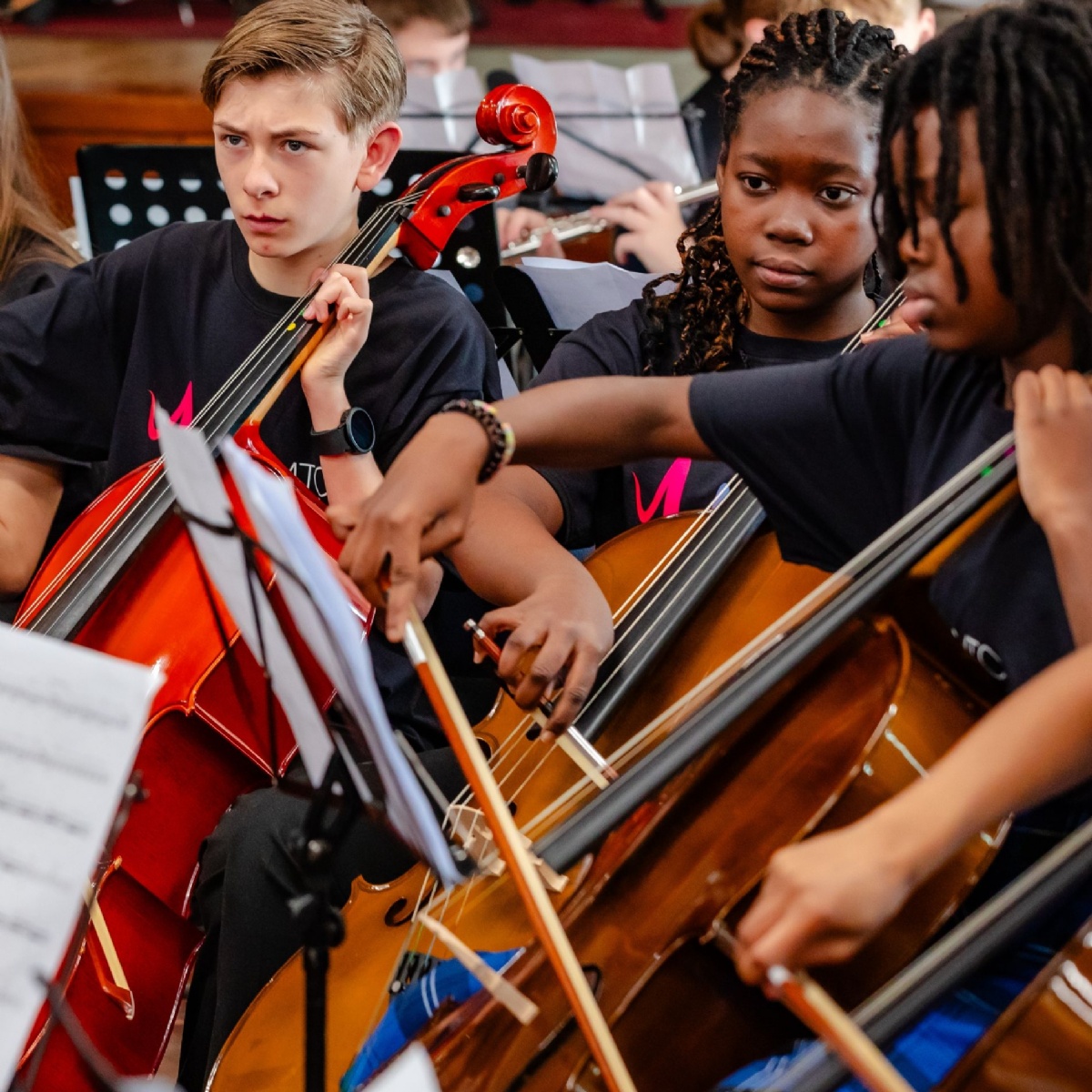 Saffron Teaching School Hub - Starting an Orchestra – Essex Music Hub ...