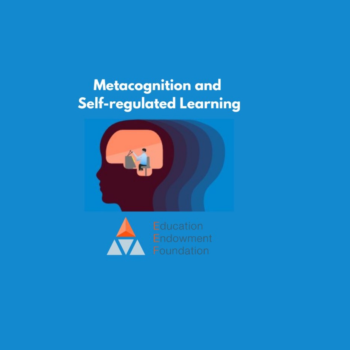 Saffron Teaching School Hub - “I wish I had thought of that sooner ...