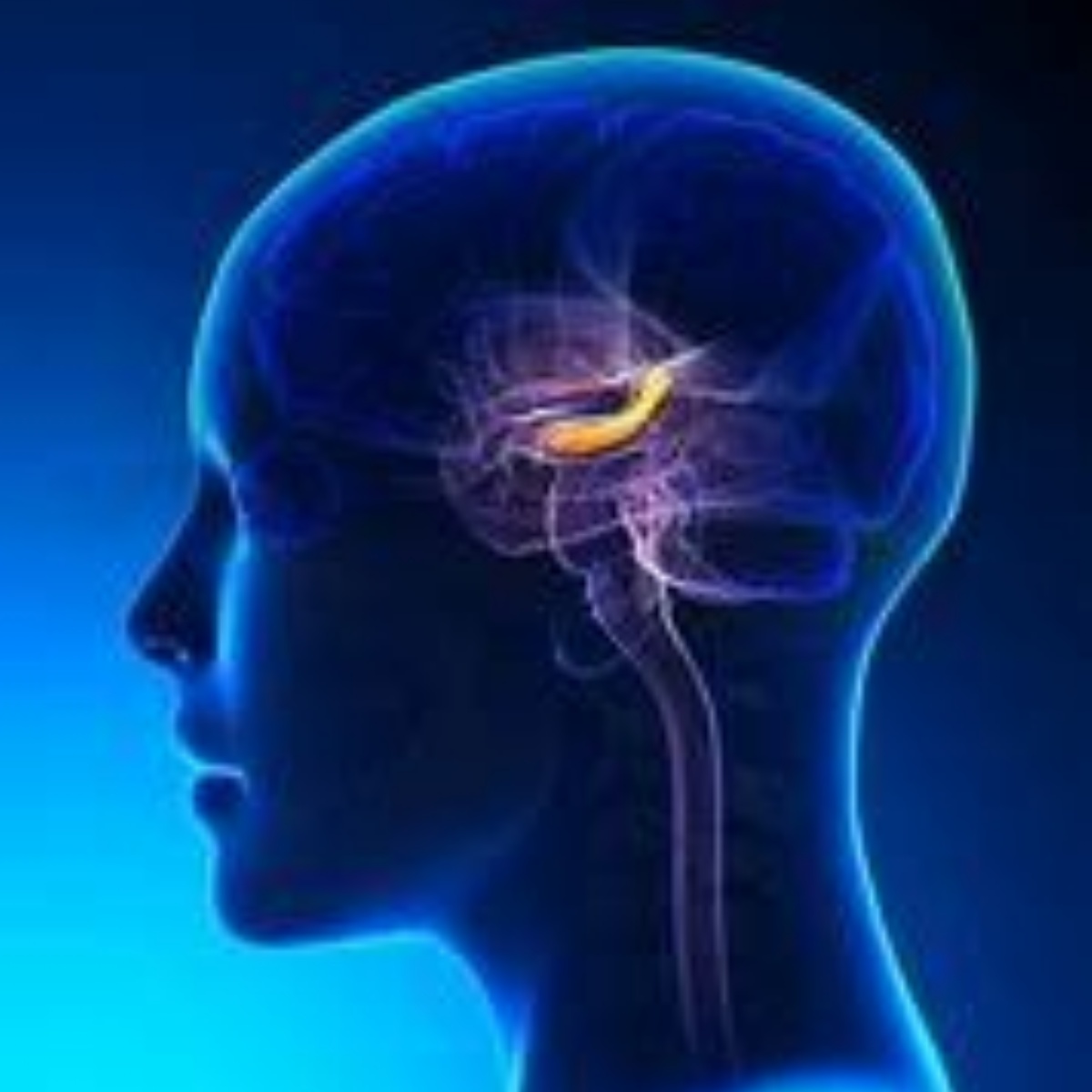 Saffron Teaching School Hub - Recall: how do we help our pupils remember?